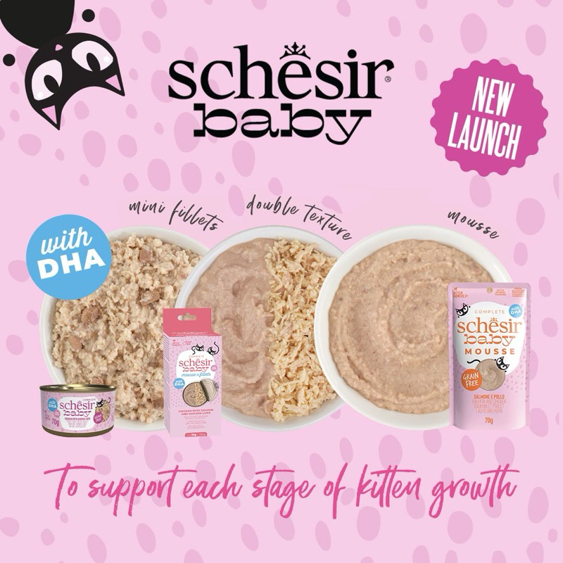 Schesir Baby Kitten Pouch Salmon and Chicken in Mousse 70g | Pet Arabia